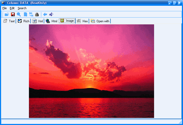 How To View Blob Fields In Oracle